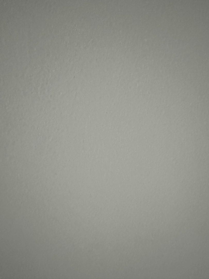 Raffles Paint R.ONE, Furniture & Home Living, Home Improvement ...