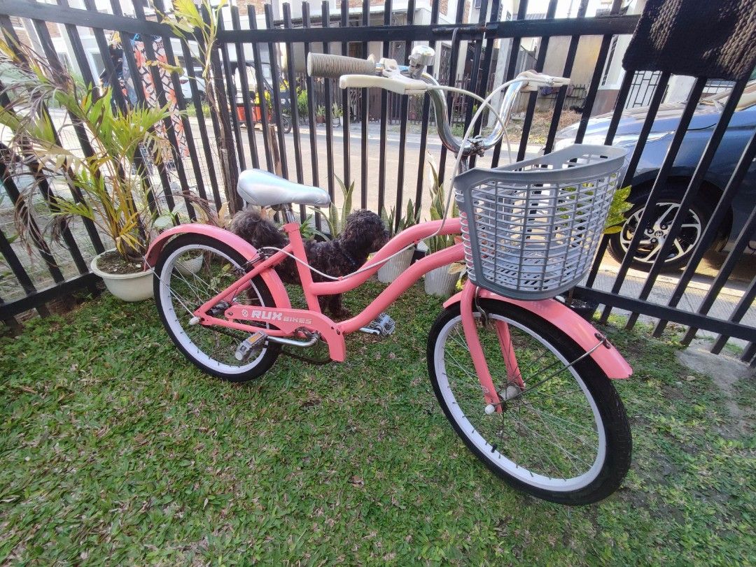 Rux bike 20 inch on Carousell