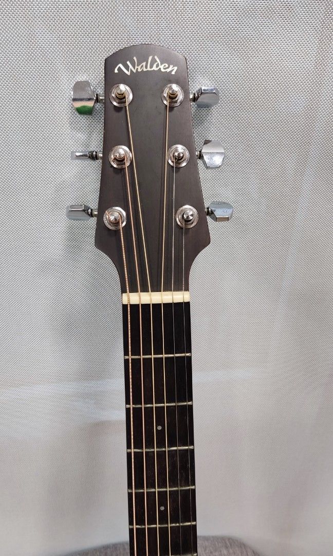 Walden D570 Red Cedar Acoustic Guitar, Hobbies & Toys, Music & Media ...