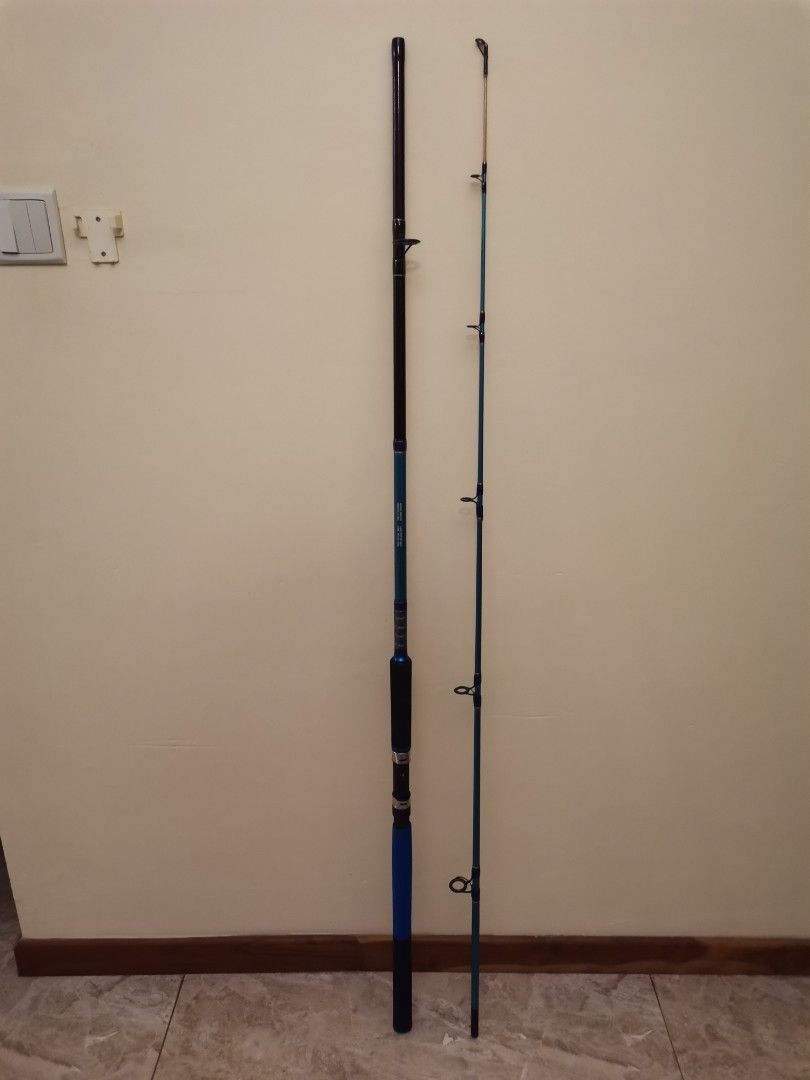 8.8ft Suftcast rod, Sports Equipment, Fishing on Carousell