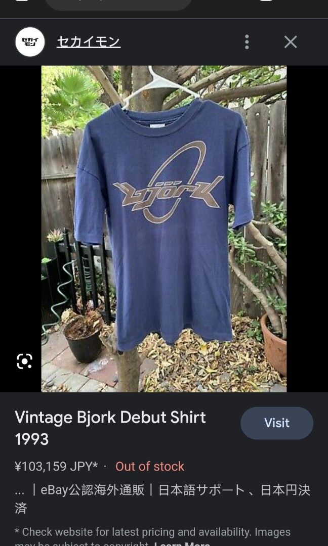 Bjork 1st Tour Promo Debut Album Tee Vintage 1993 Rare Mens Fashion