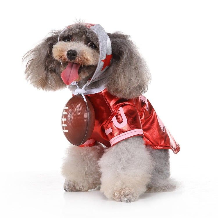 Dog's Rugby/Football Costume on Carousell