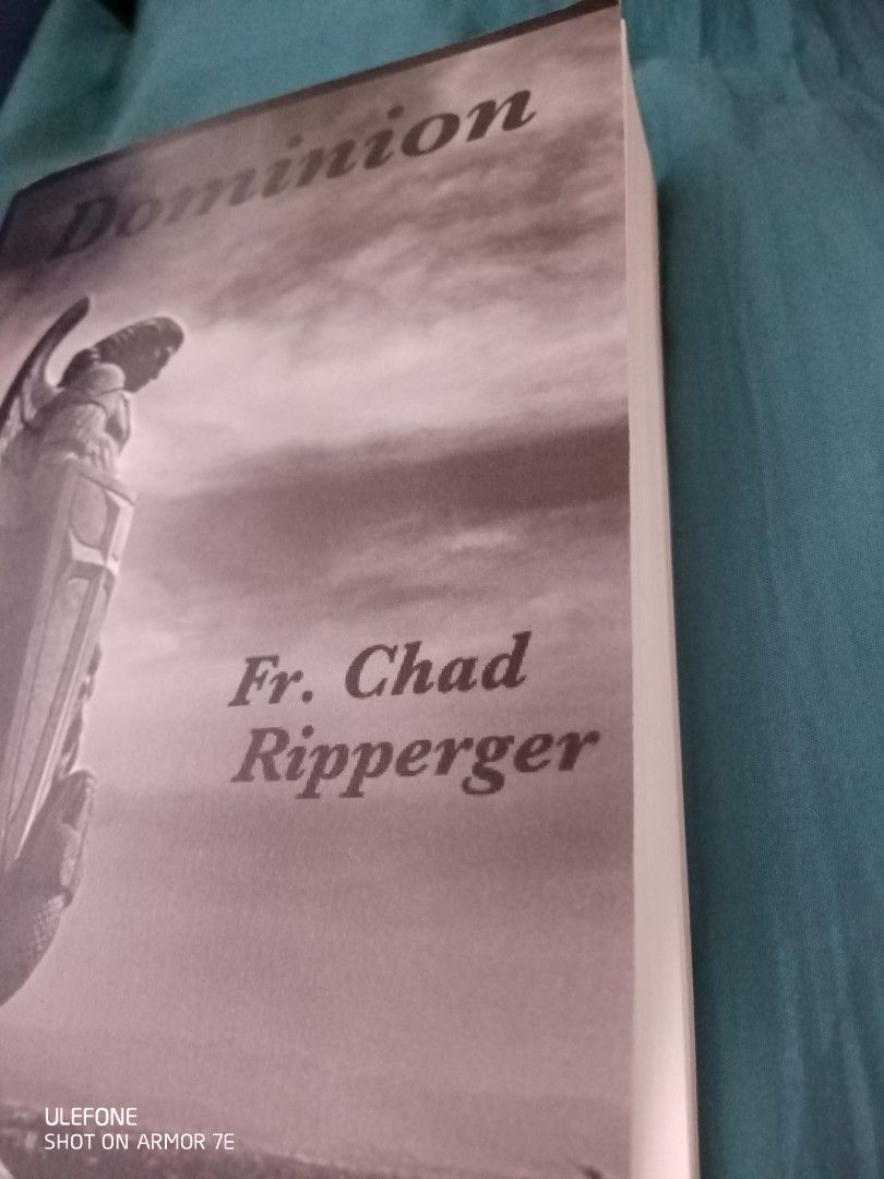 Dominion by Fr. Chad Ripperger, Hobbies & Toys, Books & Magazines ...