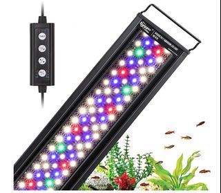 24+aquarium - View all 24+aquarium ads in Carousell Philippines