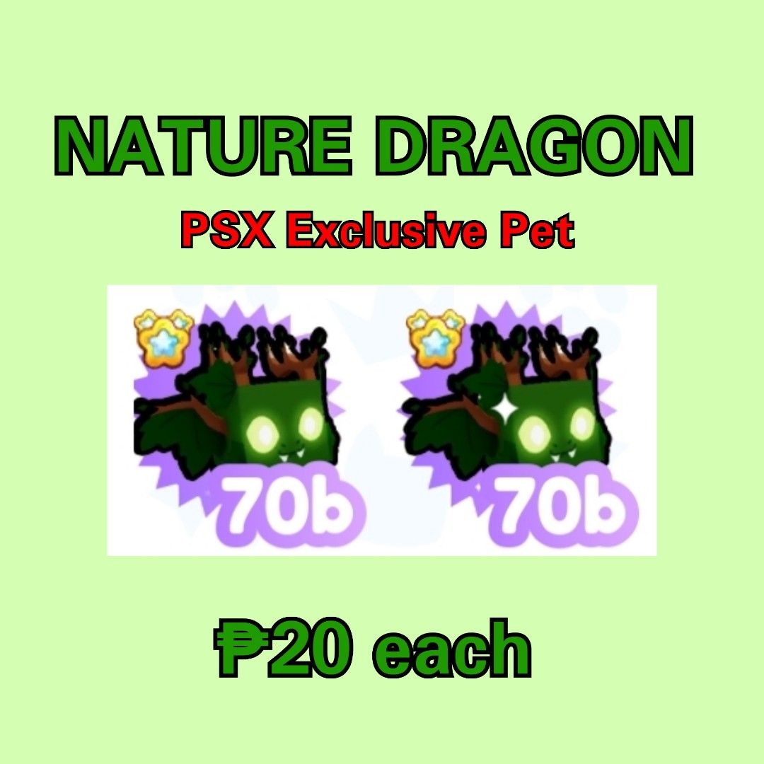 NATURE DRAGON Pet Simulator X Exclusive Pet, Video Gaming, Gaming ...