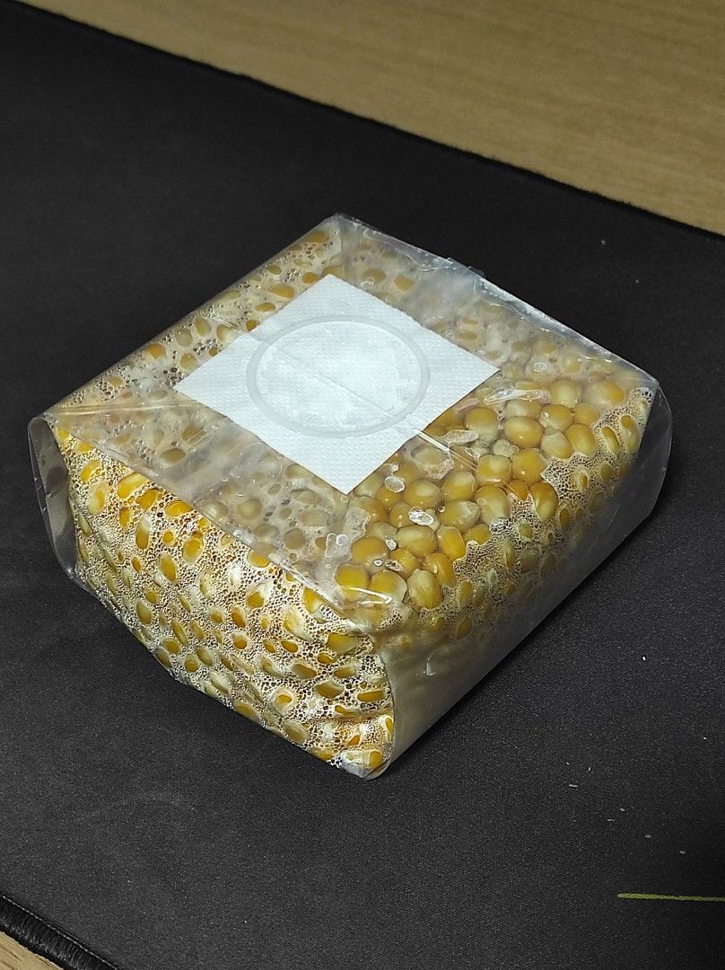 Sterilized grain spawn, Furniture & Home Living, Gardening, Plants ...