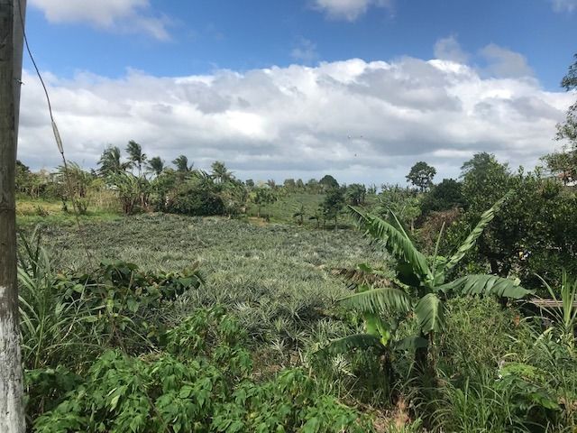 Tagaytay commercial lot near Savemore Tagaytay 1.4 Hectares P 20,000 ...