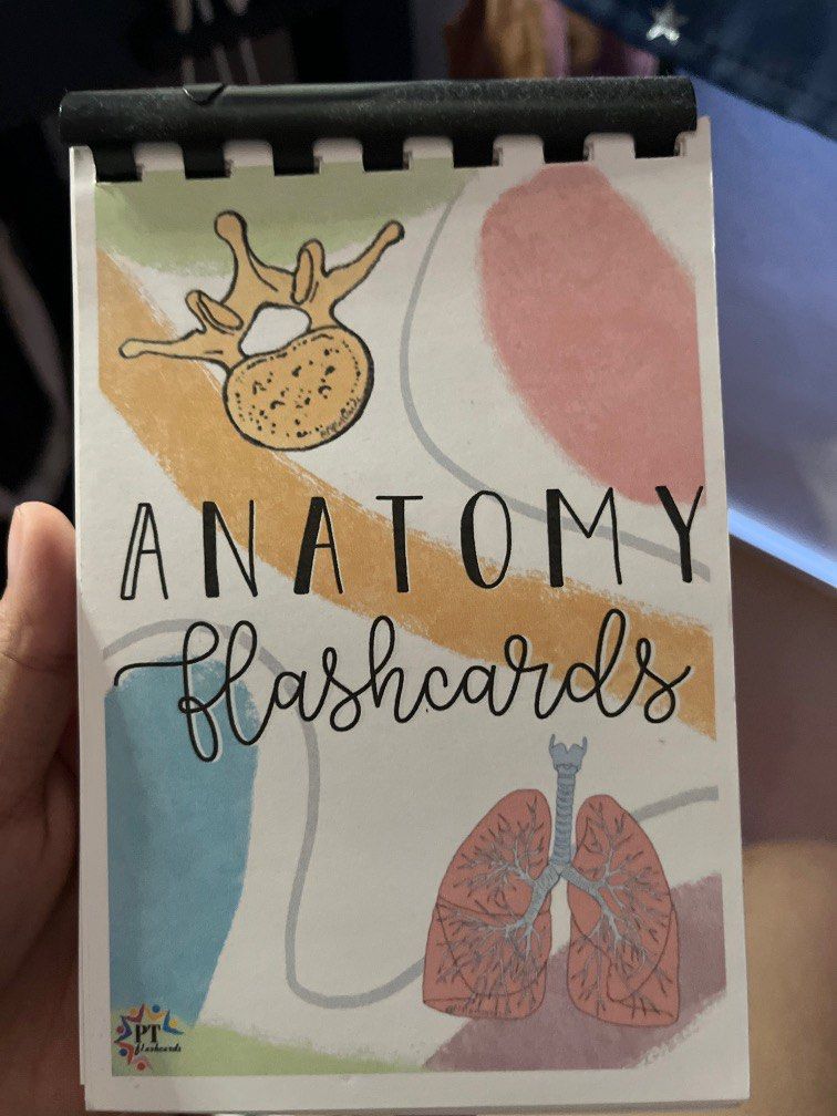 ANATOMY FLASHCARDS, Hobbies & Toys, Books & Magazines, Textbooks on ...