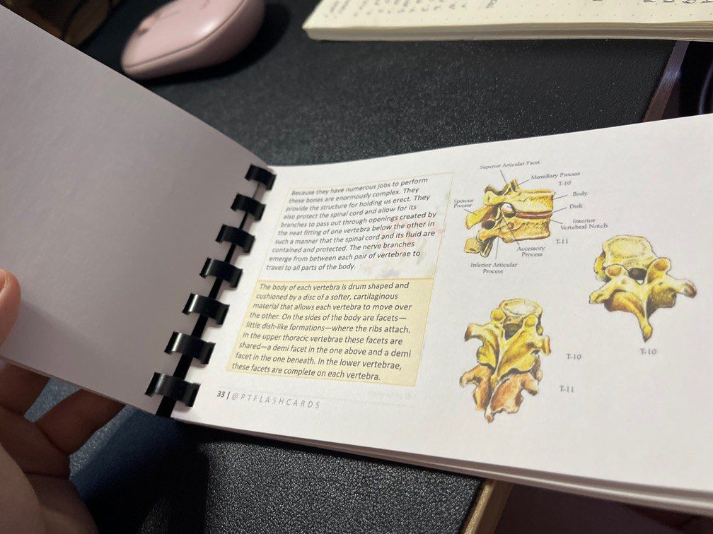 BONES FLASHCARDS, Hobbies & Toys, Books & Magazines, Textbooks on Carousell