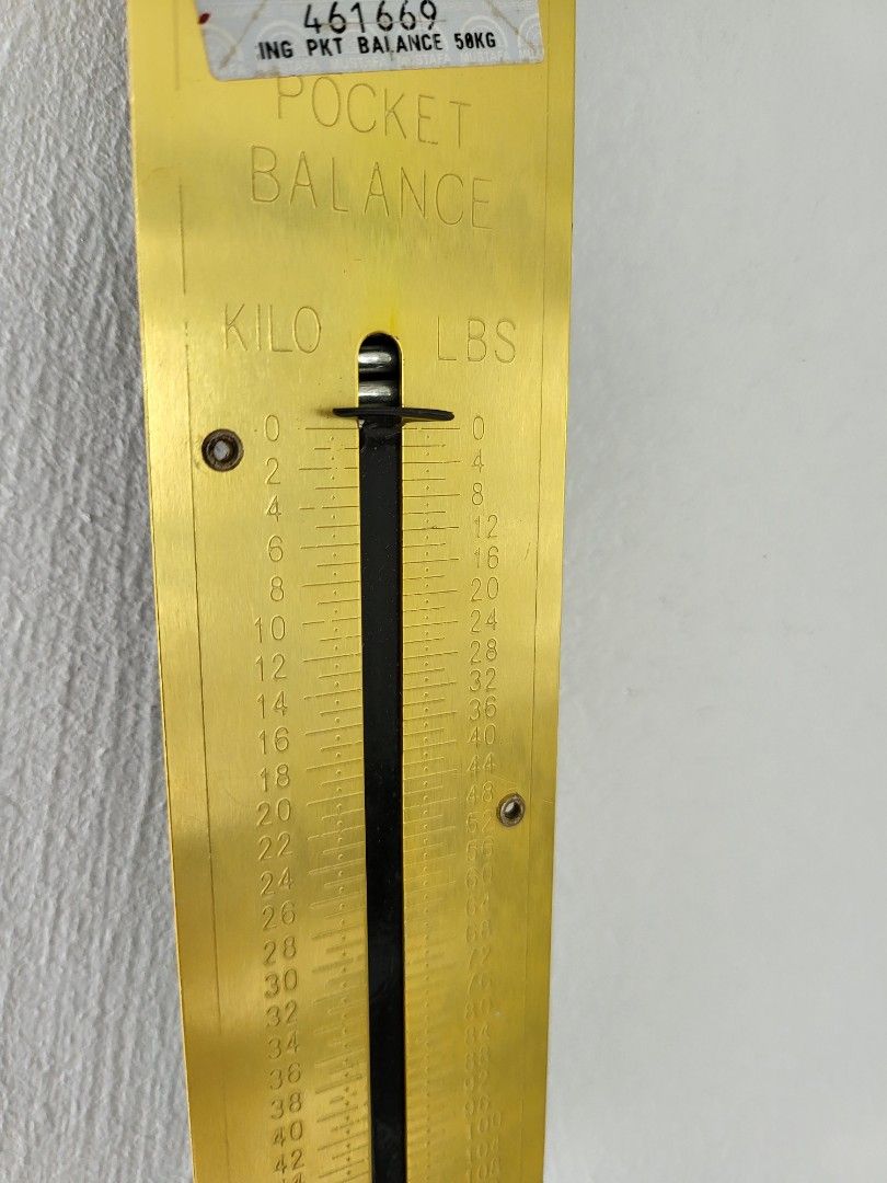 BRAND NEW!!! HUNTER Pocket Spring Weighing Scale - Up to 50kg, Health ...