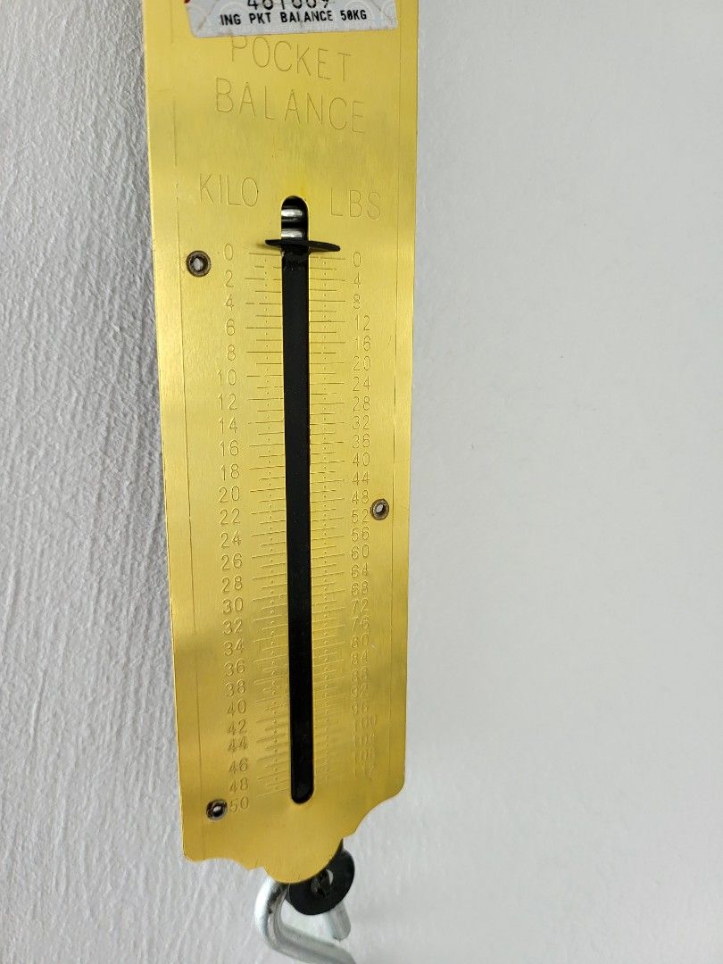 BRAND NEW!!! HUNTER Pocket Spring Weighing Scale - Up to 50kg, Health ...