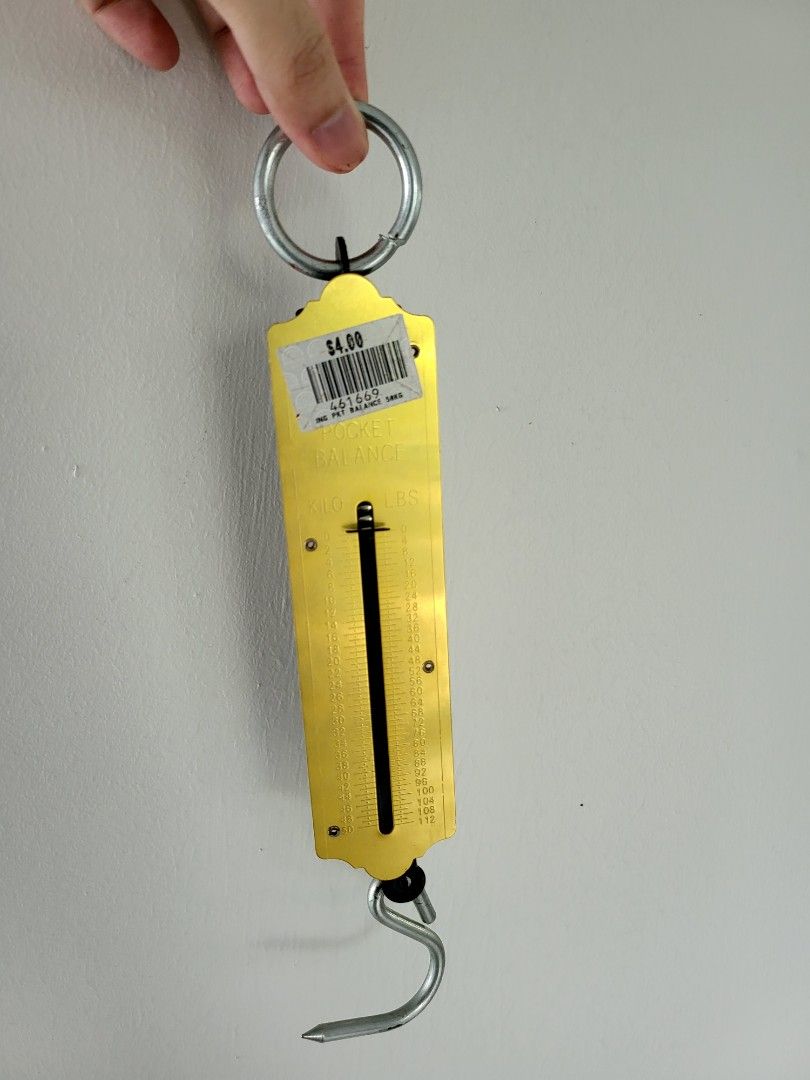 BRAND NEW!!! HUNTER Pocket Spring Weighing Scale - Up to 50kg, Health ...