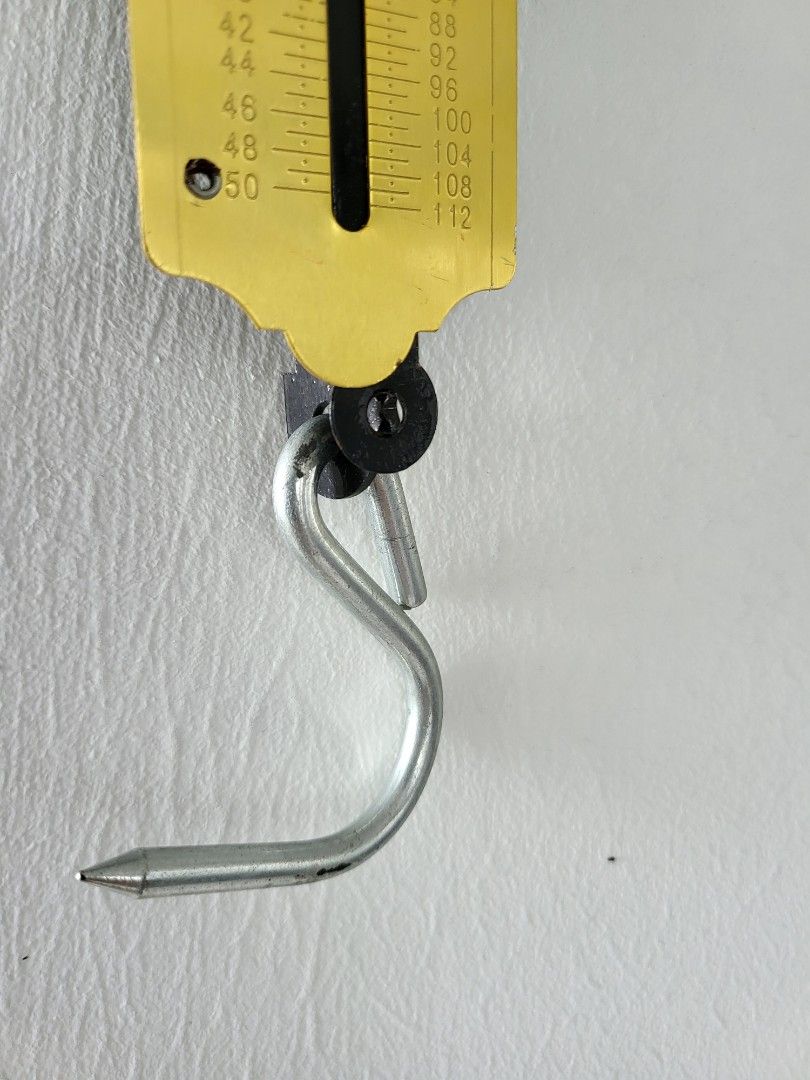 BRAND NEW!!! HUNTER Pocket Spring Weighing Scale - Up to 50kg, Health ...