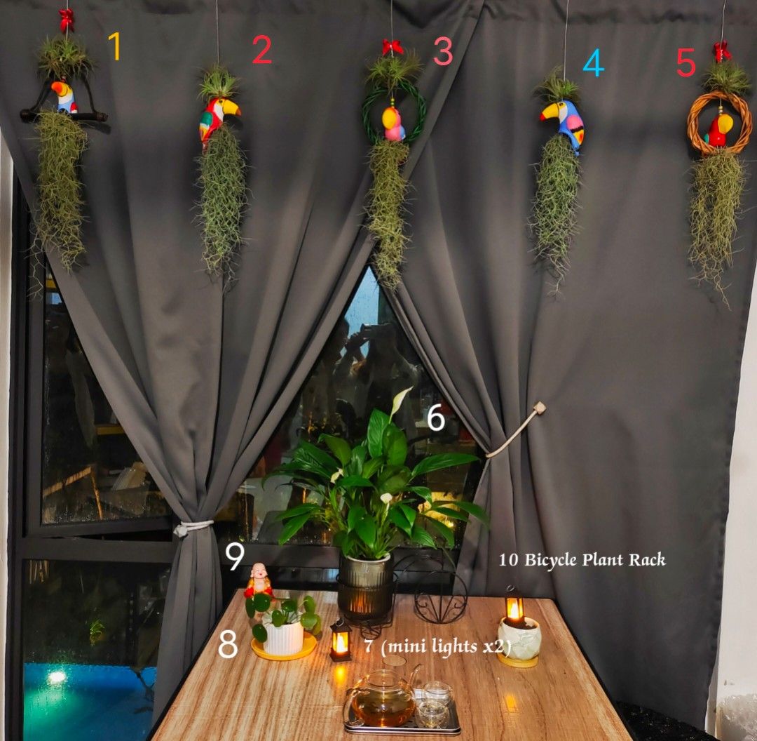 #SeeHere Ceramic Bird Air Plant House Deco Hanging Plant Pokok Janggut ...