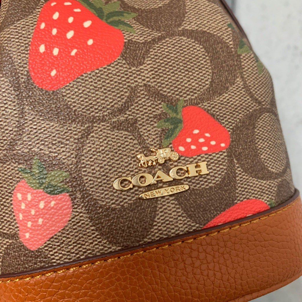 Coach Strawberry Bucket Sling Bag, Women's Fashion, Bags & Wallets ...