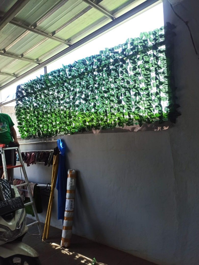 Daun rambat sintesis baru, Perkebunan di Carousell