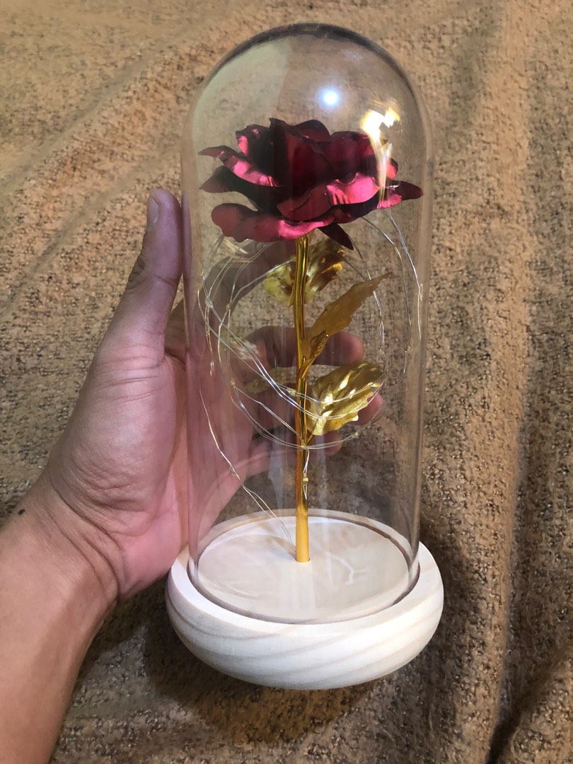 Encased rose in a glass desk light display on Carousell