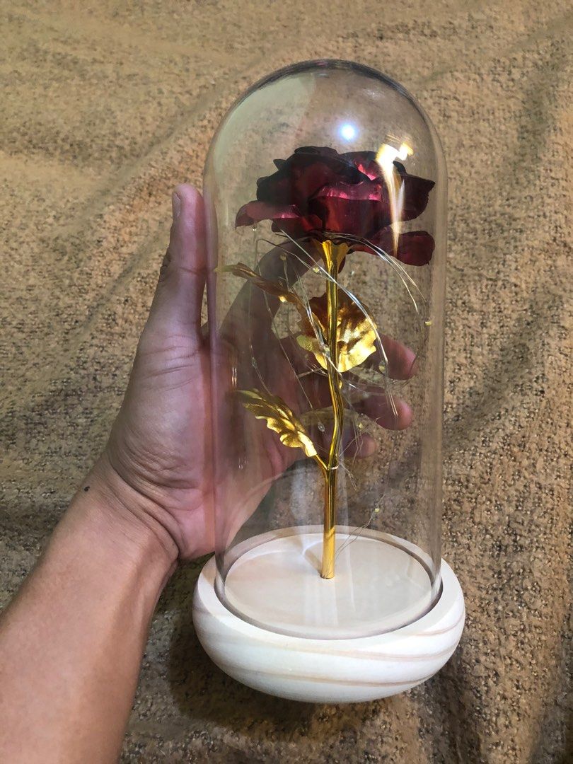 Encased rose in a glass desk light display on Carousell