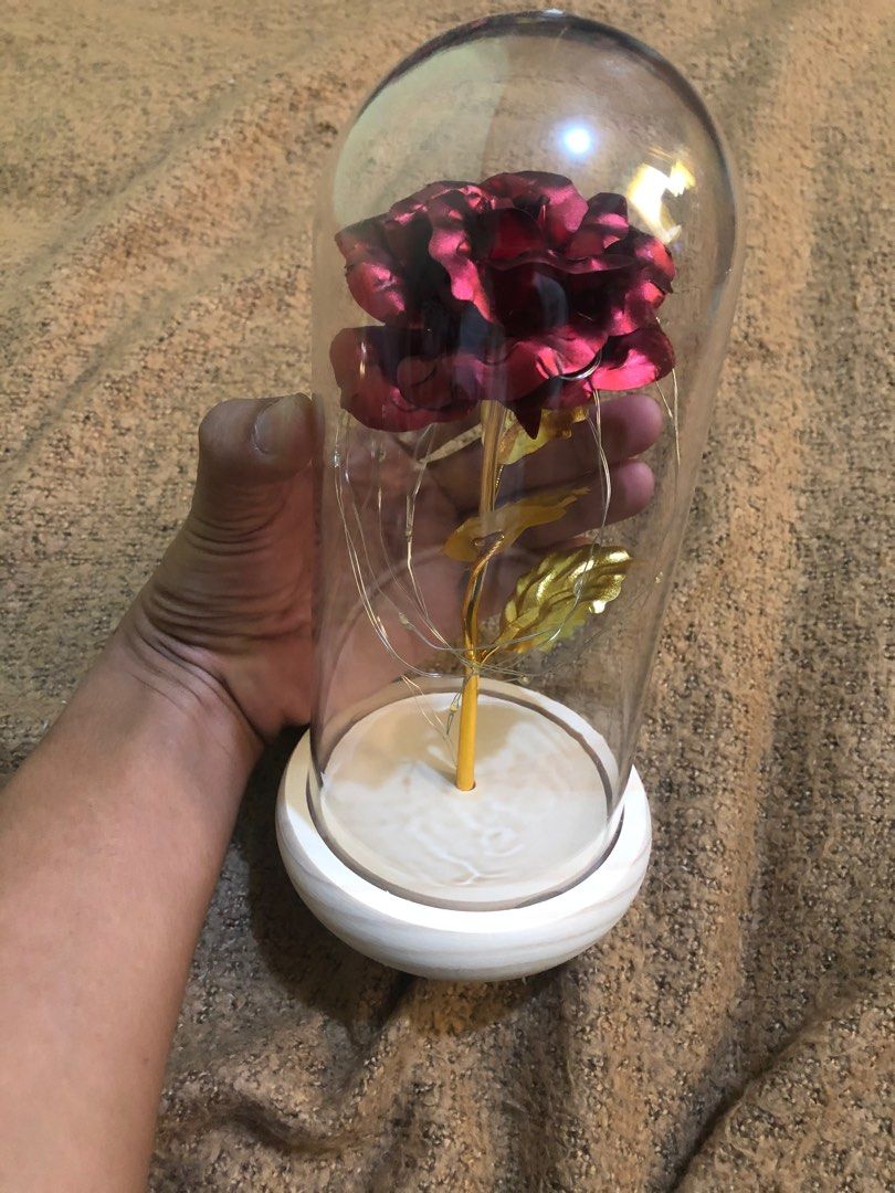 Encased rose in a glass desk light display on Carousell