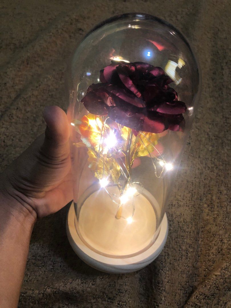 Encased rose in a glass desk light display on Carousell