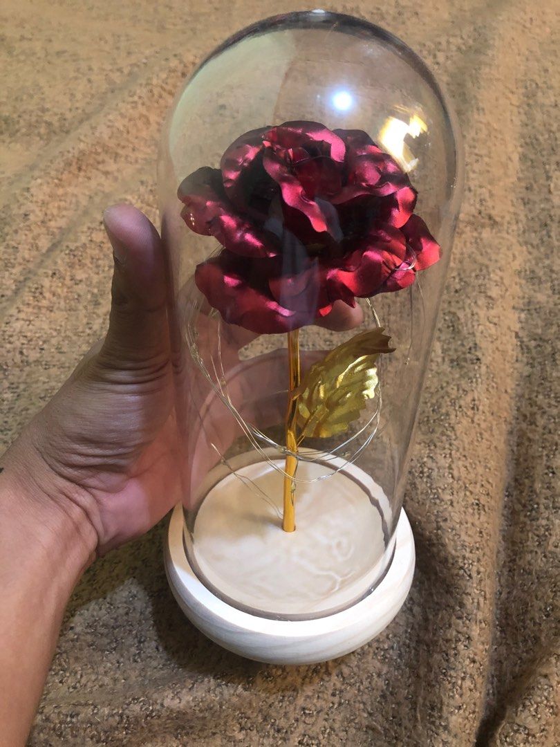 Encased rose in a glass desk light display on Carousell