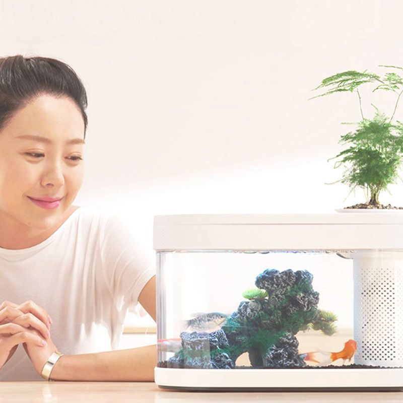 HFJH Amphibian Eco-Aquarium [ Easy Clean, Adjustable Oxygen Supply ...