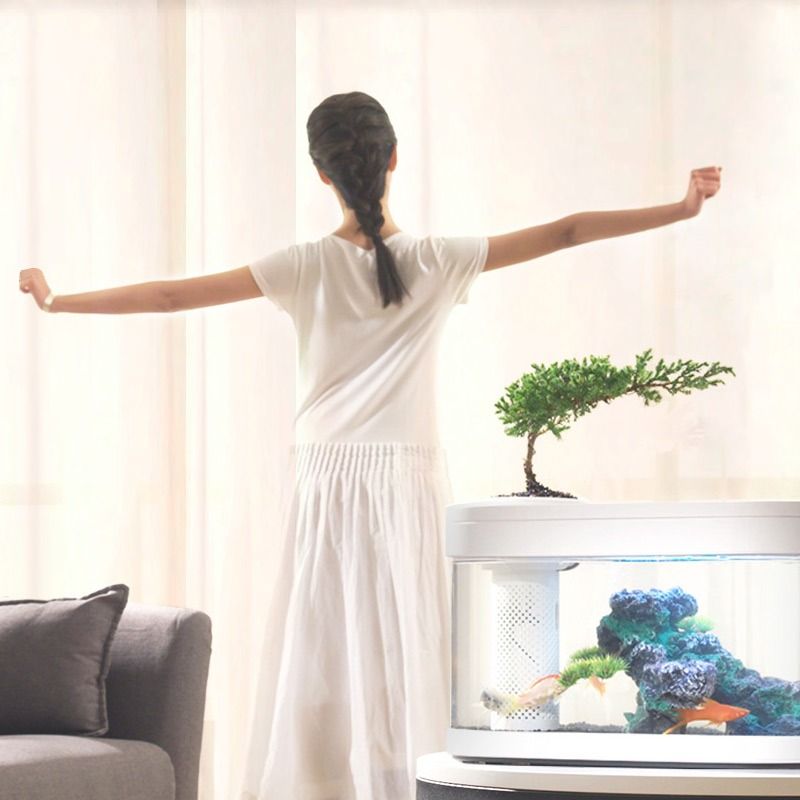 HFJH Amphibian Eco-Aquarium [ Easy Clean, Adjustable Oxygen Supply ...