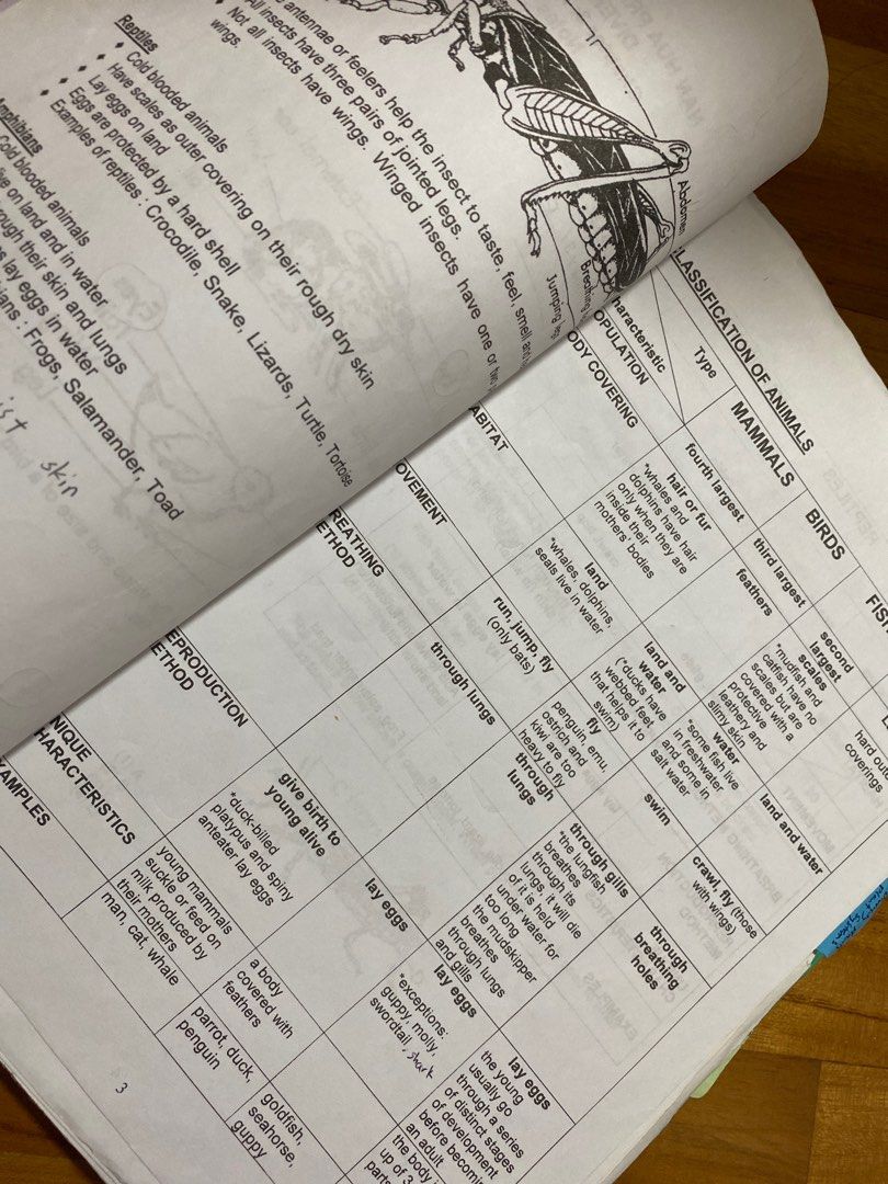 (Reserved) Primary 3 and Primary 4 notes by Nan Hua Primary, Hobbies ...
