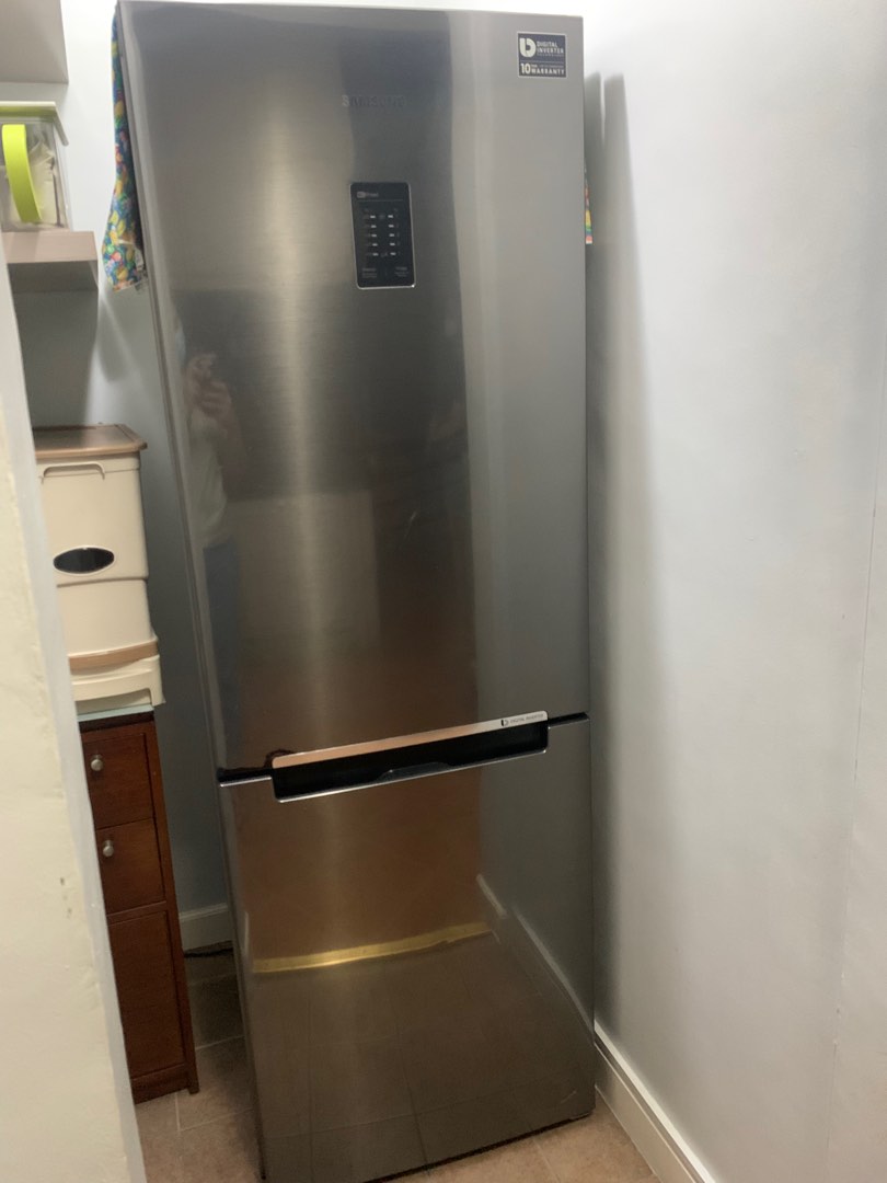 Samsung Digital Inverter Refrigerator, TV & Home Appliances, Kitchen ...