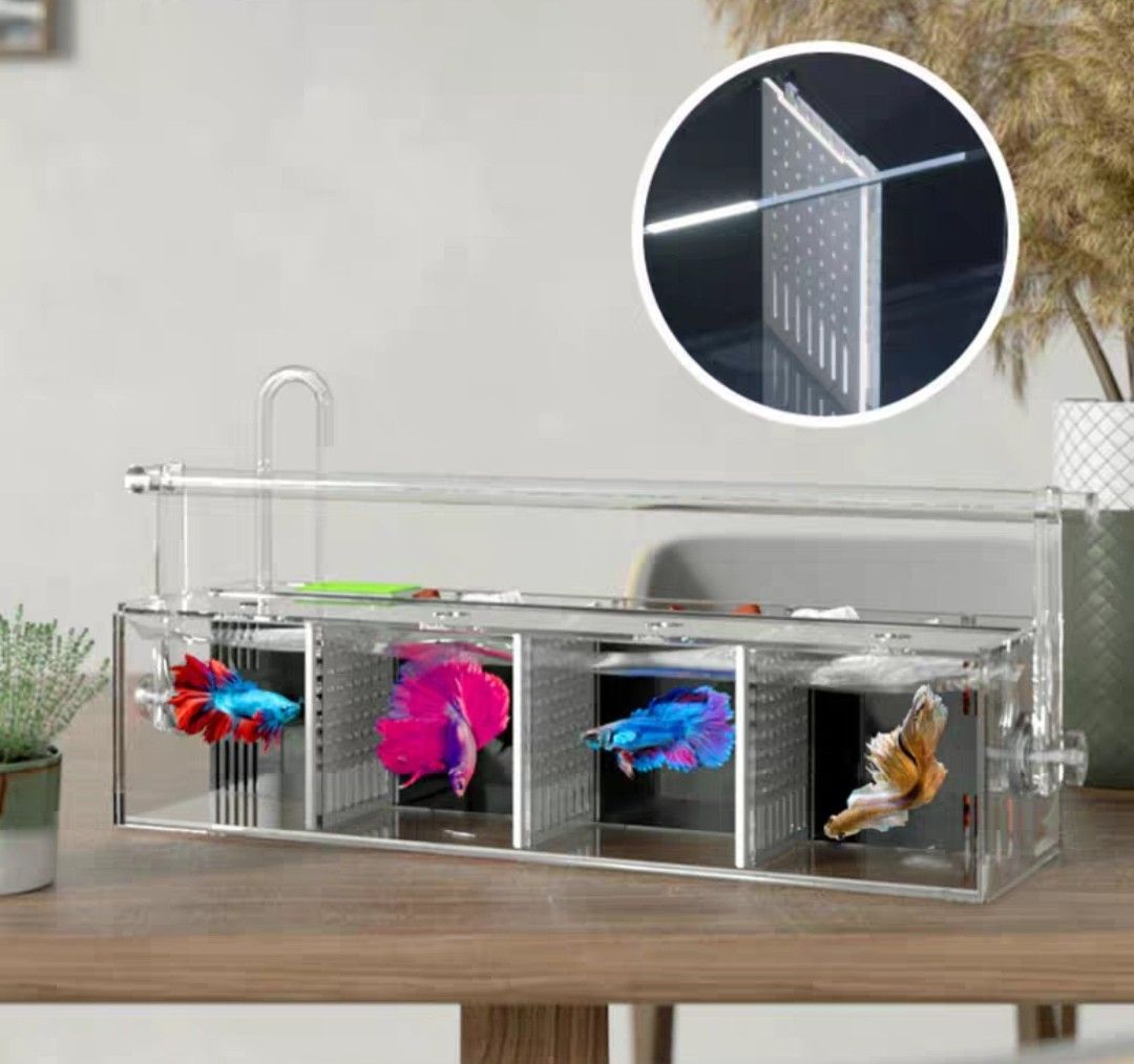 Betta Fish Rack, Furniture & Home Living, Home Decor, Other Home Decor ...