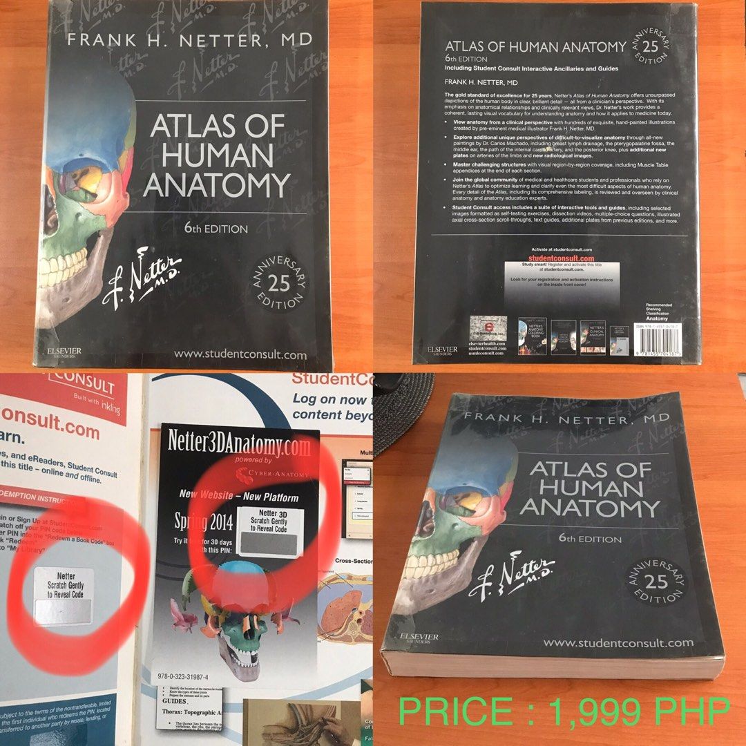 NETTER - ATLAS OF HUMAN ANATOMY 6TH ED., Hobbies & Toys, Books ...