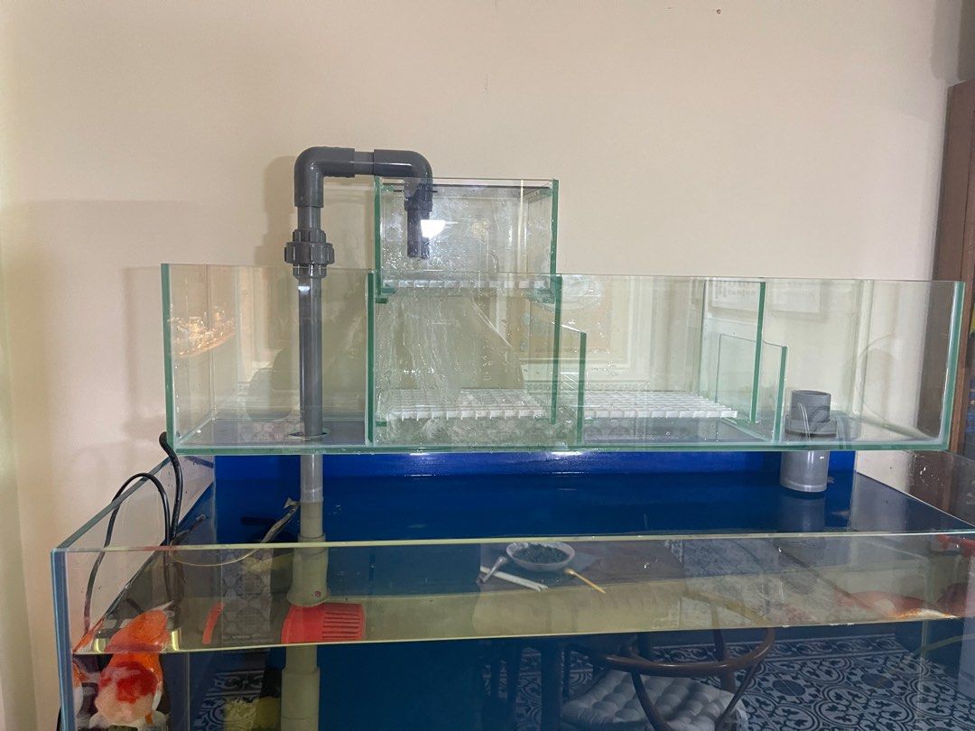 Overhead sump tank., Pet Supplies, Homes & Other Pet Accessories on ...