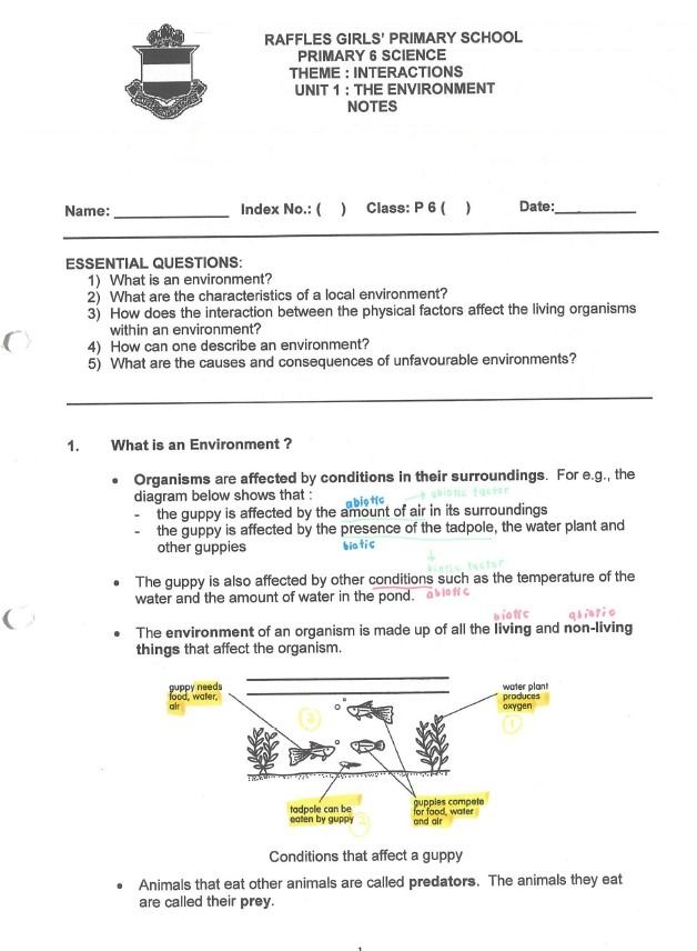 P6 RGPS Science File, notes, worksheets, misconception topical test ...