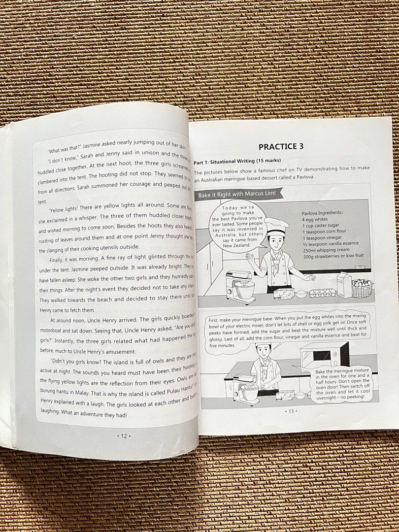 Used PSLE situational&continuous writing, Hobbies & Toys, Books ...