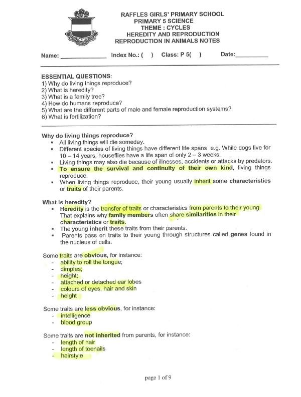 RGPS P5 Science File, notes, worksheets, Raffles Girls topical revision ...