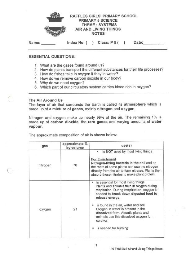RGPS P5 Science File, notes, worksheets, Raffles Girls topical revision ...