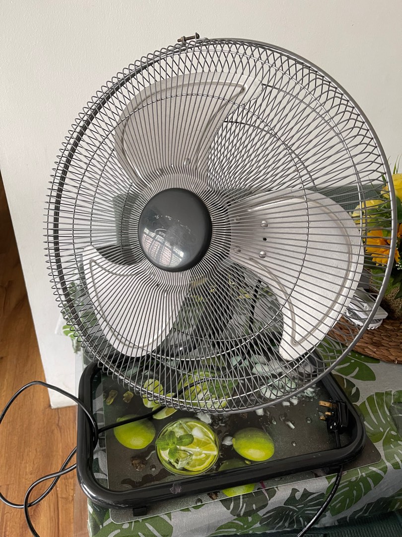 Steel Europace Table Fan 18 inch, Furniture & Home Living, Lighting ...