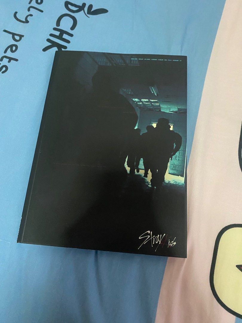 STRAYKIDS I AM NOT album, Hobbies & Toys, Music & Media, Music ...