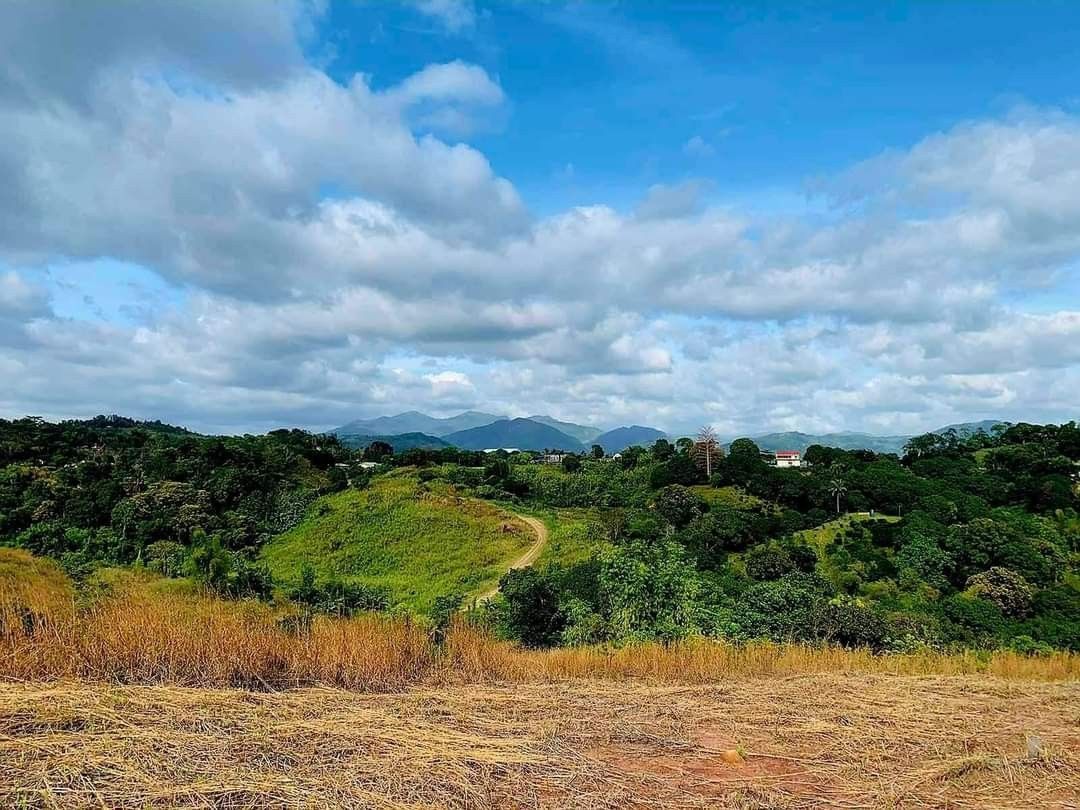 The Daintree Residences in Antipolo, Property, For Sale, Lot on Carousell