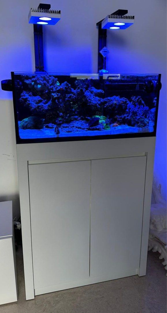 fish tank bespoke