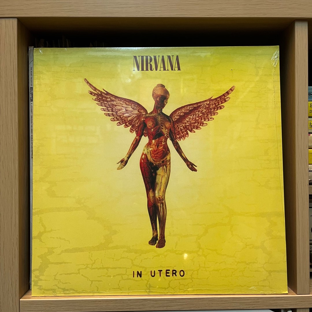 Lp Nirvana In Utero Hobbies And Toys Music And Media Vinyls On Carousell
