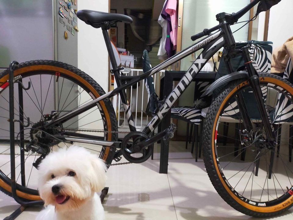MTB 29er PROMAX PM17 on Carousell
