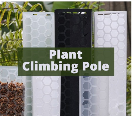 Plant Climbing Pole Sphagnum Moss Sticks Plant Growing Support Water ...