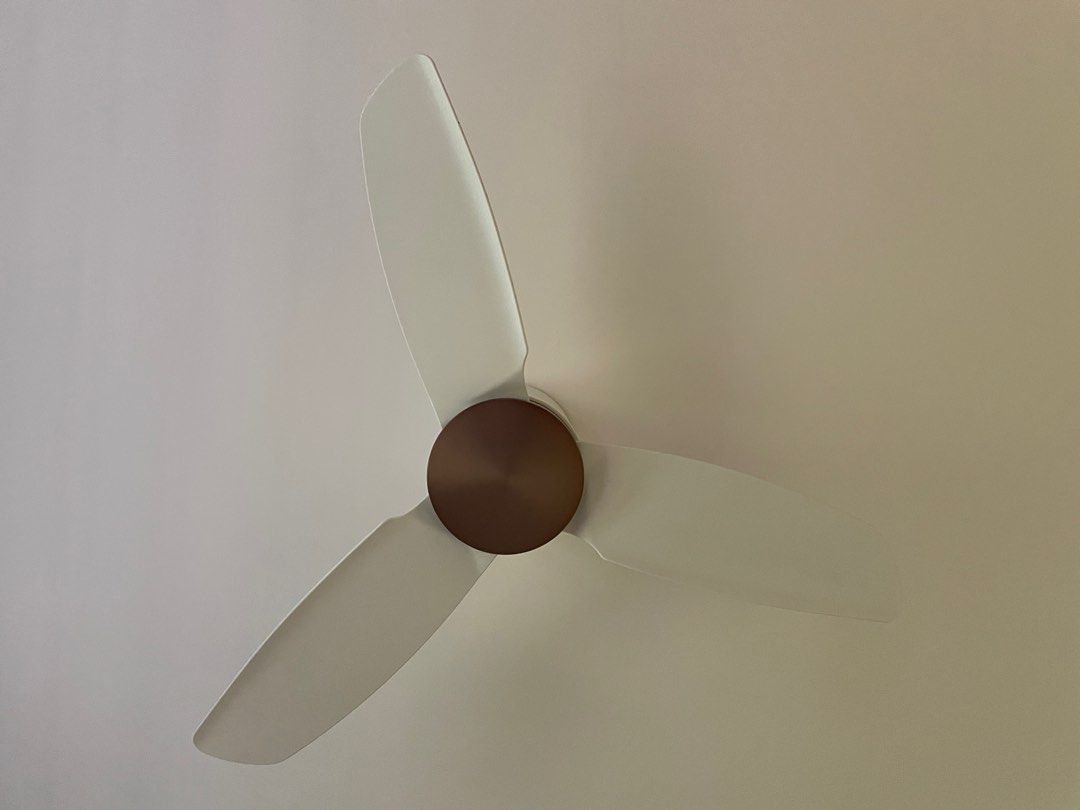 36 Inch Ceiling Fan Replacement Blades | Shelly Lighting