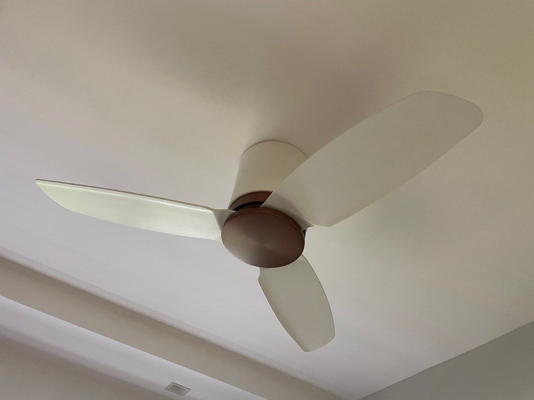 36 Inch Ceiling Fan Replacement Blades | Shelly Lighting