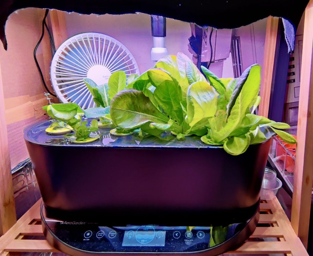 Aerogarden Bounty Basic, Furniture & Home Living, Gardening, Plants ...