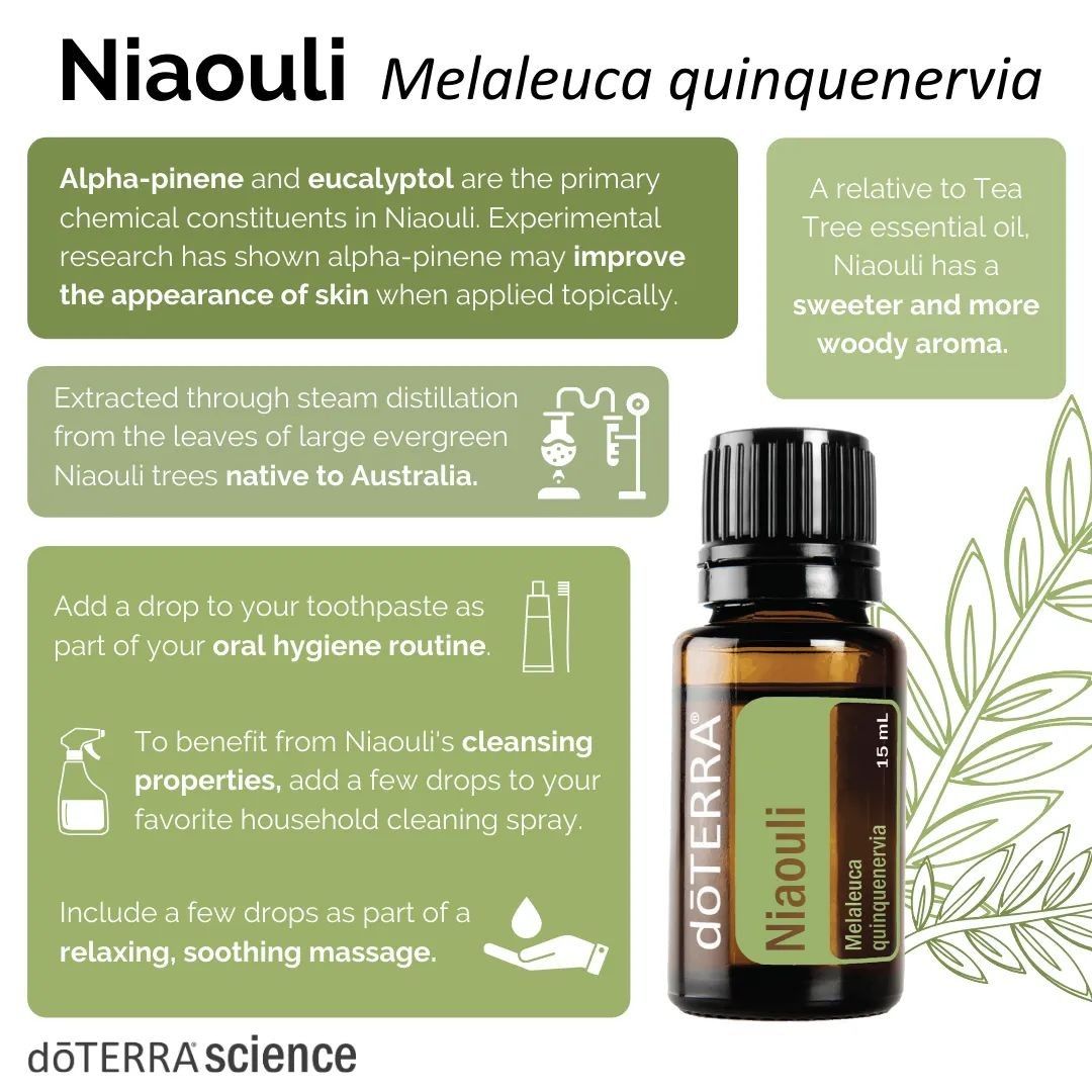 doTERRA Niaouli 15ml (Limited Edition), Furniture & Home Living, Home ...