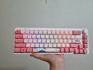 TKL Womier K87 with Akko Pink Switches and Jelly Pom Keycaps, Computers & Tech, Parts ...