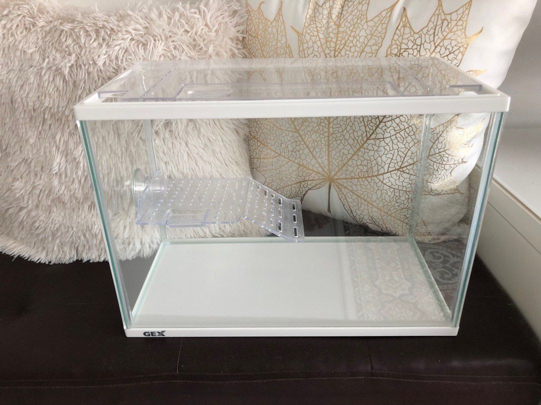 GEX Marina Aquarium (white with cover), Pet Supplies, Homes & Other Pet Accessories on Carousell