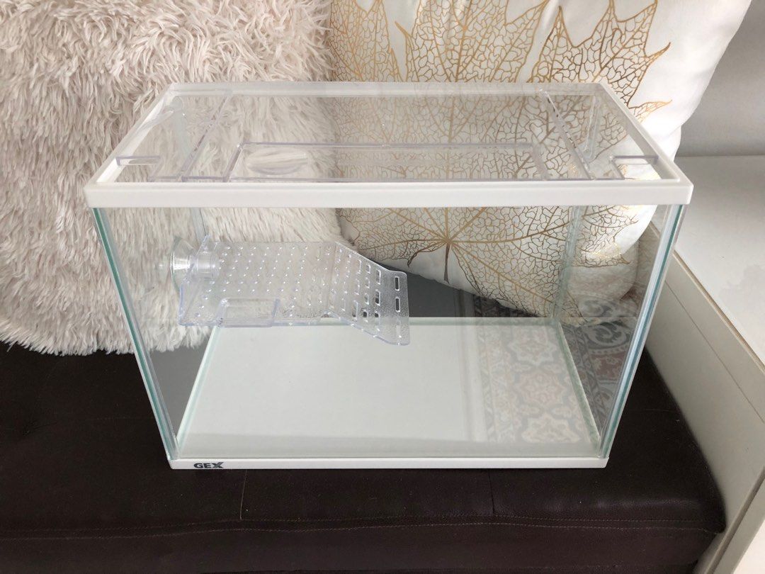 GEX Marina Aquarium (white with cover), Pet Supplies, Homes & Other Pet Accessories on Carousell